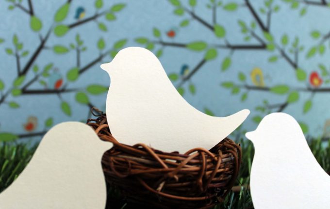 Bird Place Cards for Weddings - Handmade by TiffZippy | Emmaline Bride