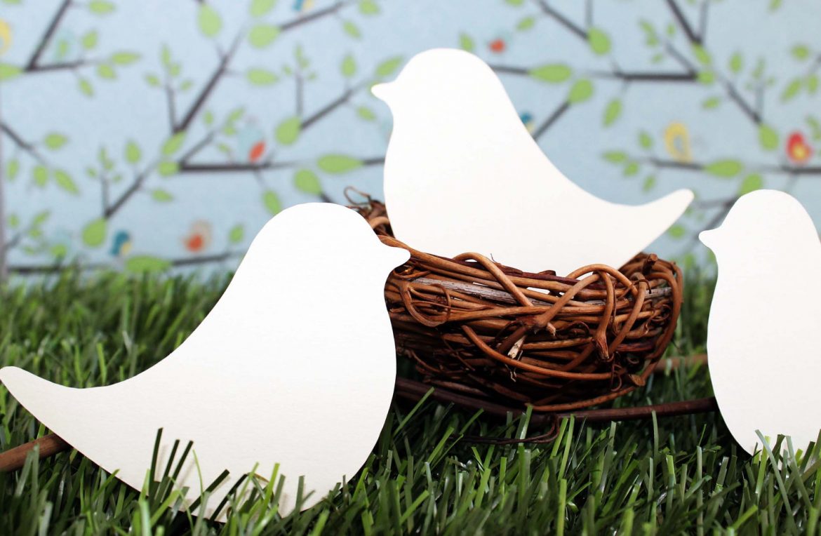 Bird Place Cards for Weddings - Handmade by TiffZippy | Emmaline Bride