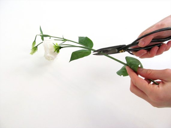 DIY Floral Hoop Tutorial: Make your own floral decor for boho weddings