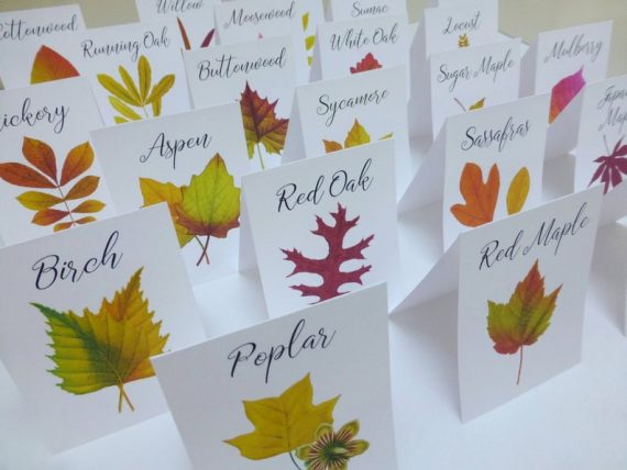 Wedding Table Names: 75+ Creative Ideas | Emmaline Bride®