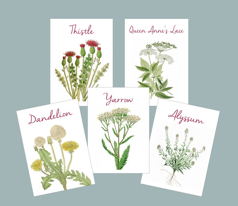 Wedding Table Names: 75+ Creative Ideas | Emmaline Bride®