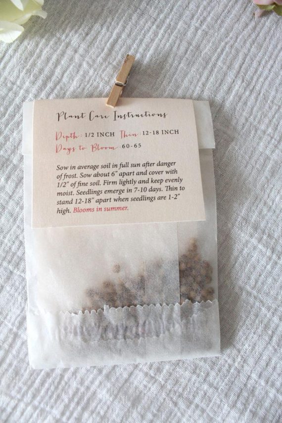 Please Be Seeded Wedding Idea: DIY Seating Chart + Favor in One