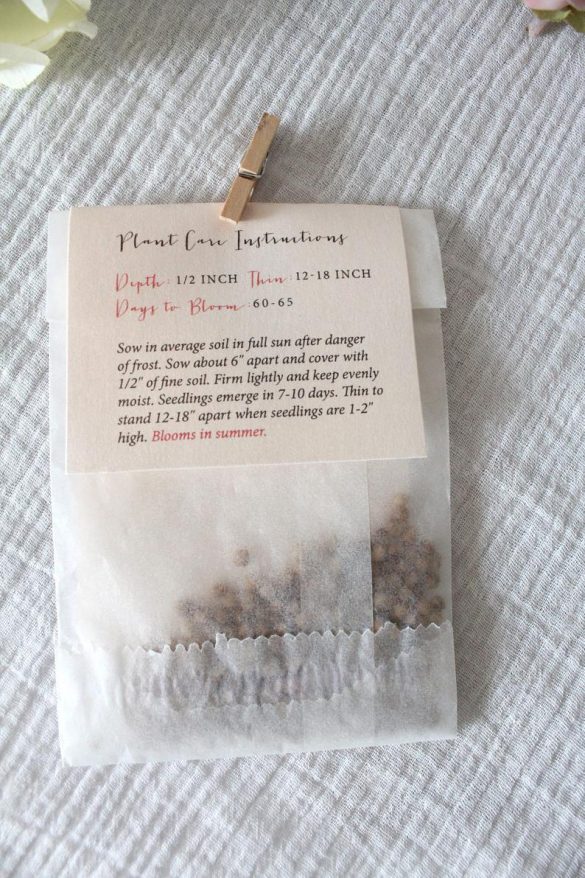 Please Be Seeded Wedding Idea: DIY Seating Chart + Favor in One