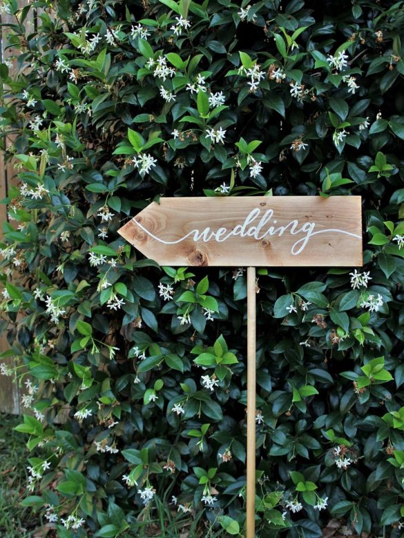 Wedding Venues 101: How to Choose a Wedding Venue (+ What to Ask)