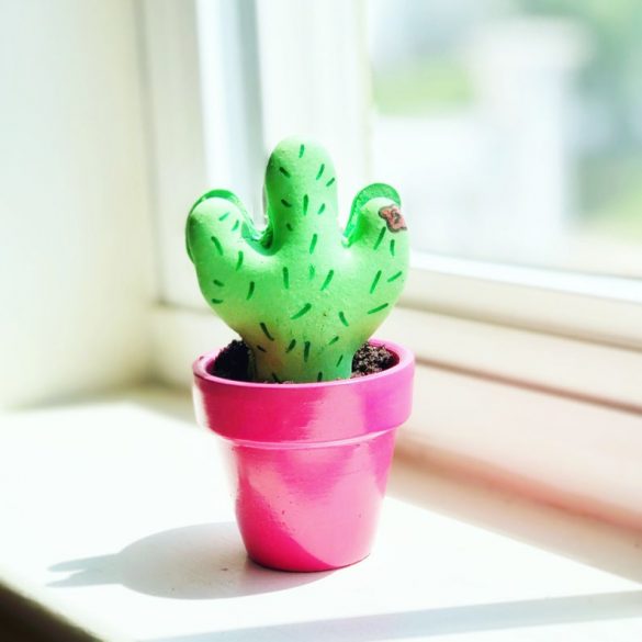 50 Best Cactus Ideas for Beautiful Southwestern Weddings