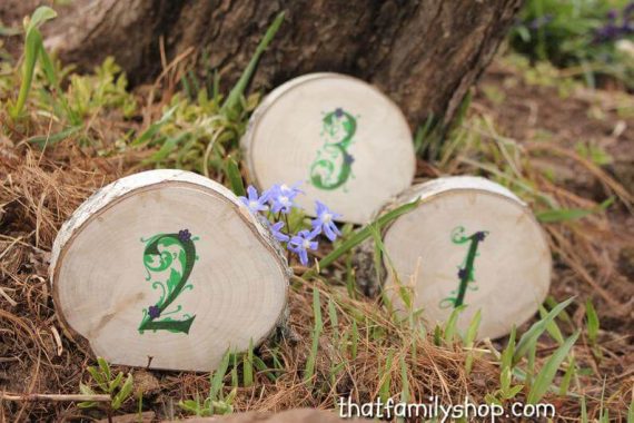 Tree Slice Table Numbers for Rustic Wedding | Emmaline Bride