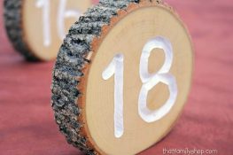 Tree Slice Table Numbers for Rustic Wedding | Emmaline Bride