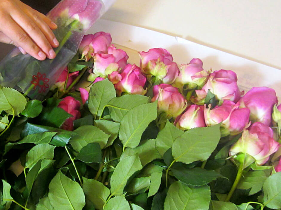 The Best Place to Buy Bulk Flowers Online for Your Wedding