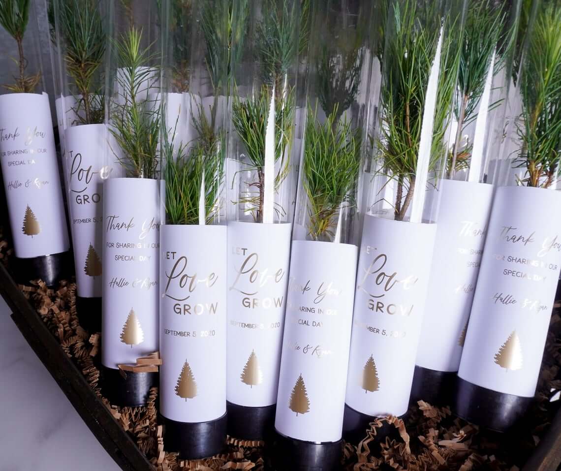 Where to Buy Tree Wedding Favors for Guests to Plant | Emmaline Bride