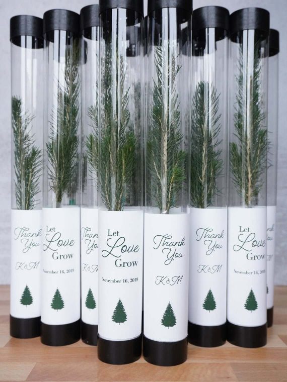 Where to Buy Tree Wedding Favors for Guests to Plant | Emmaline Bride