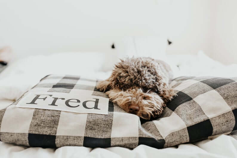 The 15 Best Dog Gifts 2020: 100% Handmade for the Coolest Pups