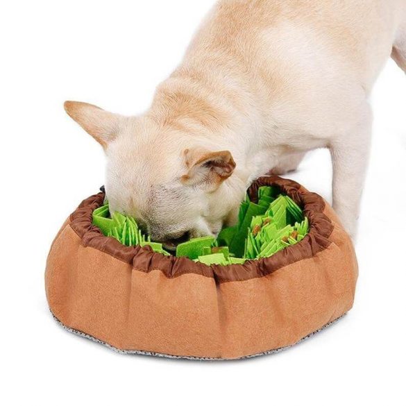 The 15 Best Dog Gifts 2020: 100% Handmade for the Coolest Pups