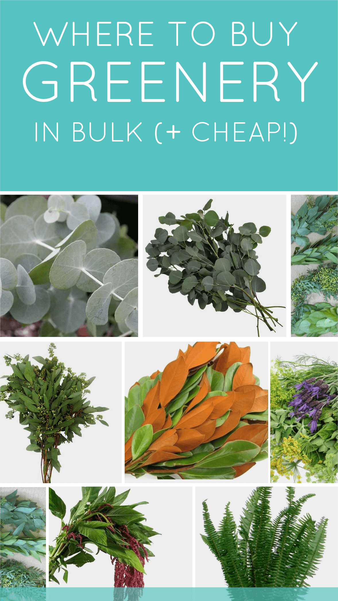 Where to Buy Greenery in Bulk for Weddings (Cheap!) | Emmaline Bride
