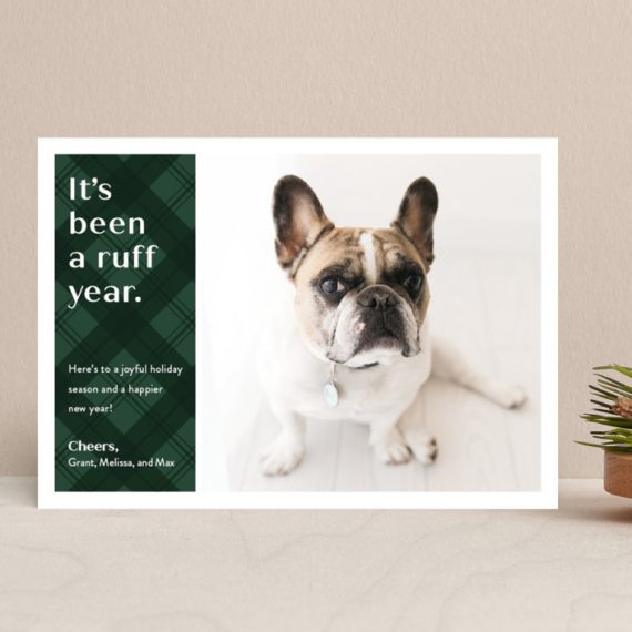 22 Best Quarantine Holiday Cards for Sending Cheer in 2020