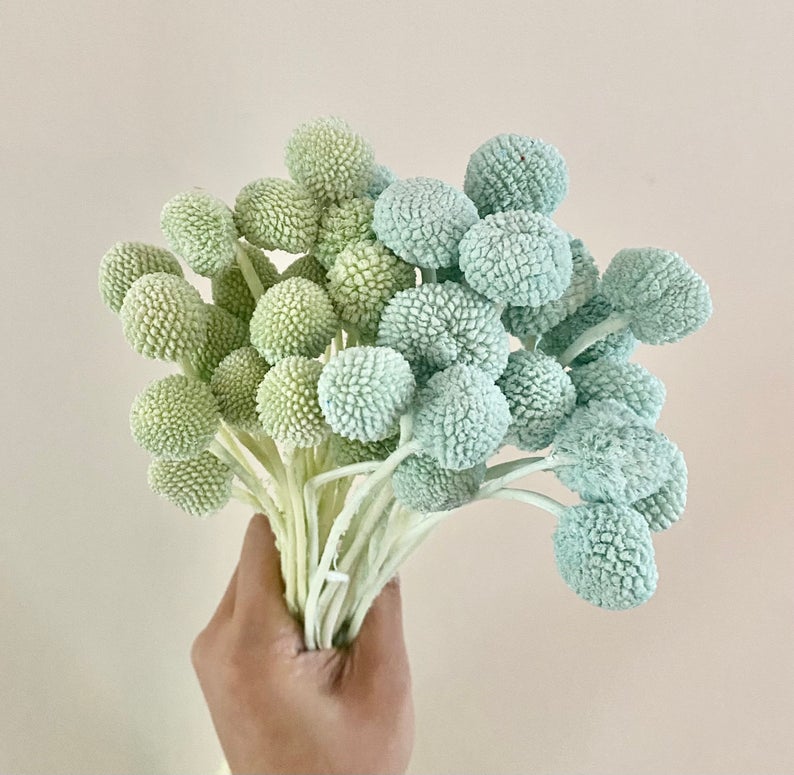 Where to Buy Billy Balls for Wedding in Bulk + Individual Stems