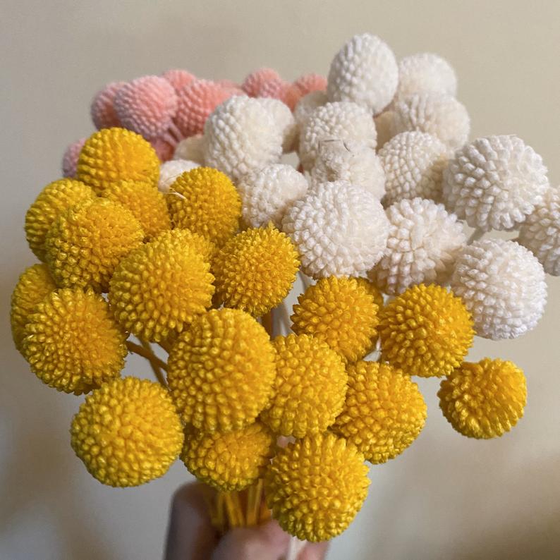 Where to Buy Billy Balls for Wedding in Bulk + Individual Stems
