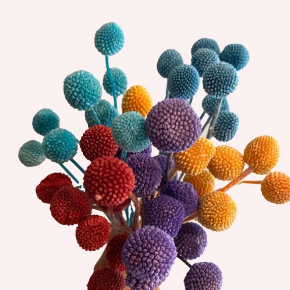 Where to Buy Billy Balls for Wedding in Bulk + Individual Stems