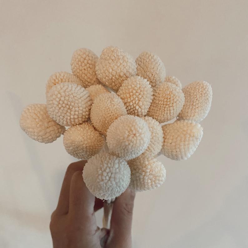Where to Buy Billy Balls for Wedding in Bulk + Individual Stems