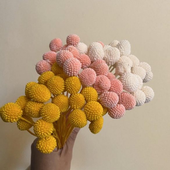 Where to Buy Billy Balls for Wedding in Bulk + Individual Stems