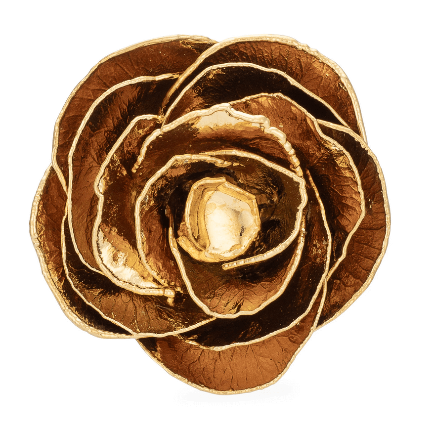 Yes, You Really Can Have Roses That Last Forever (Finally!)