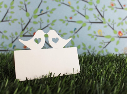 Place Cards with Love Bird Theme