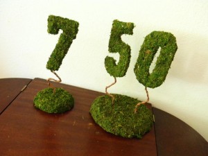 Moss Table Numbers | Emmaline Bride Wedding Blog