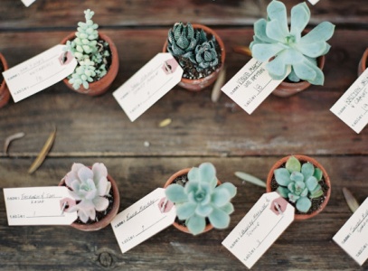 Place Card Favors: The Ultimate Combination to Save you Money