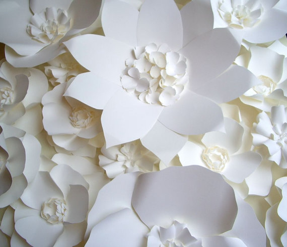 White Flower Backdrop - Giveaway! - Dragonfly Expression