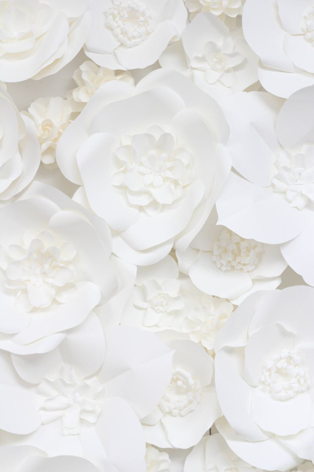 White Flower Backdrop - Giveaway! - Dragonfly Expression